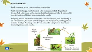 337063000-Ppt-Daur-Hidup-Hewan - Copy.pptx