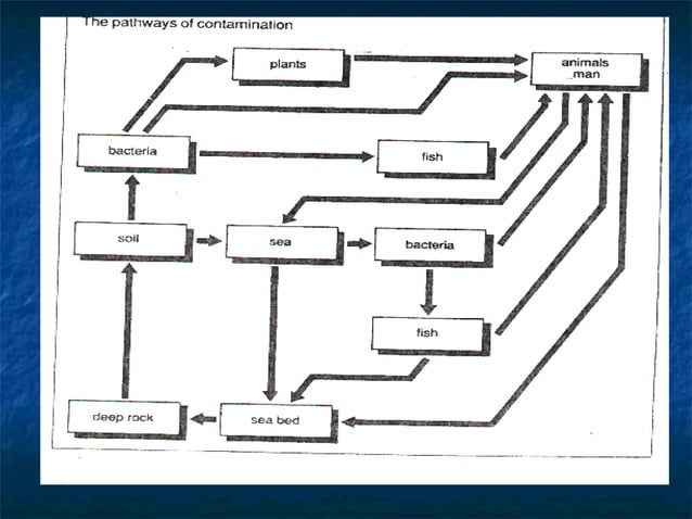 presentation on water pollution | PPT