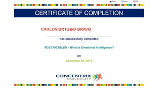 CNX Certificates Photo Album | PPT