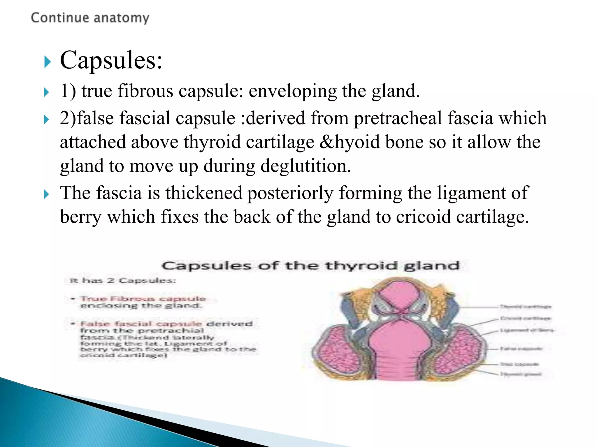 thyroid surgery important | PPTX