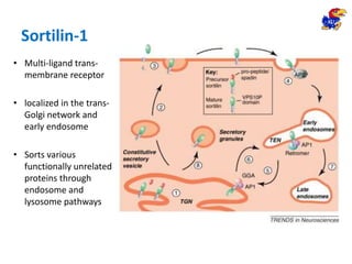 KUMC Presentation | PPT