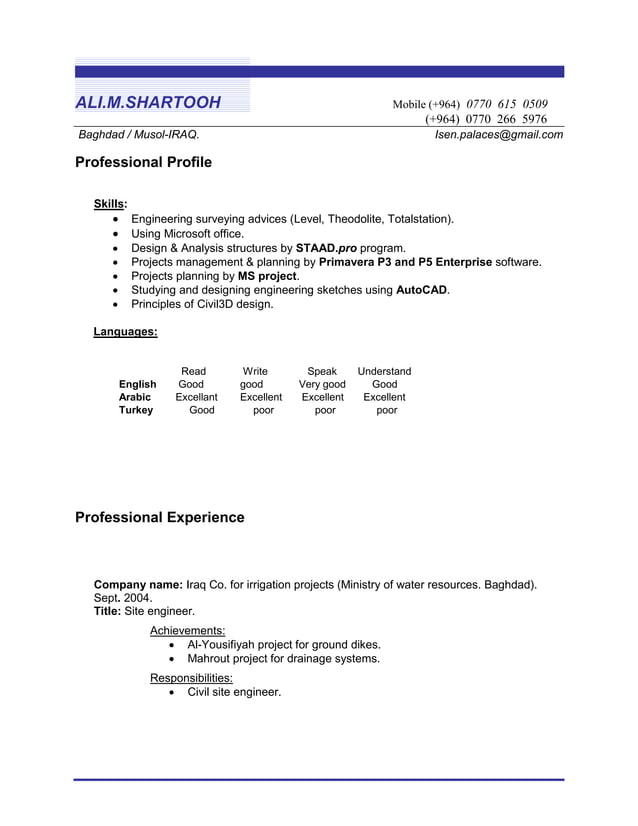 Professional Profile | PDF