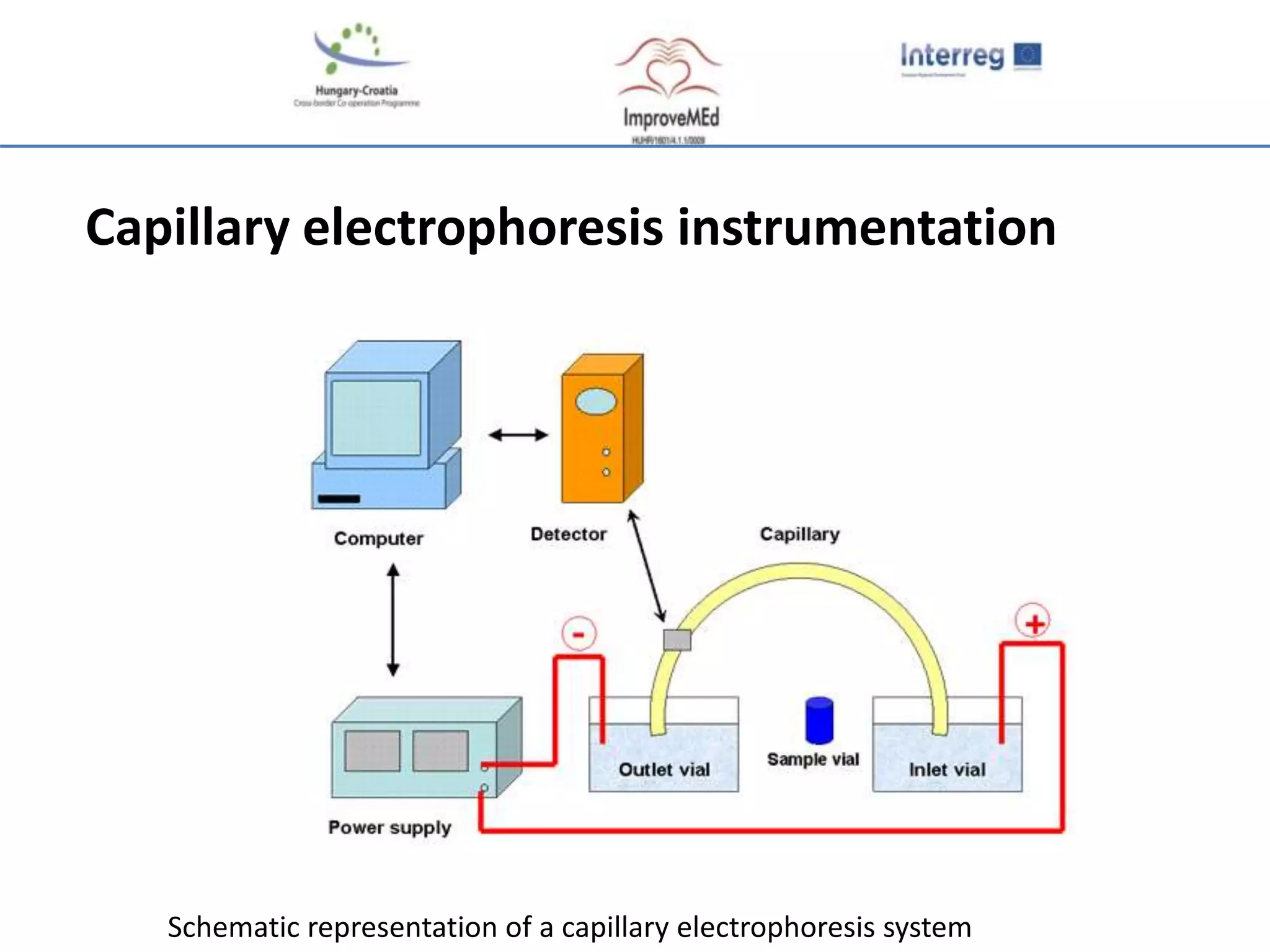 The principle and performance of capillary electrophoresis | PPTX