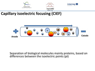 The principle and performance of capillary electrophoresis | PPTX