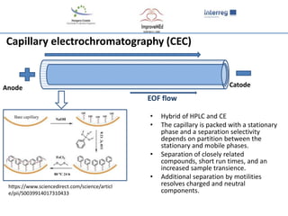 The principle and performance of capillary electrophoresis | PPTX