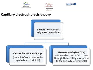The principle and performance of capillary electrophoresis | PPTX