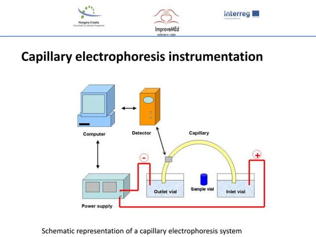 The principle and performance of capillary electrophoresis