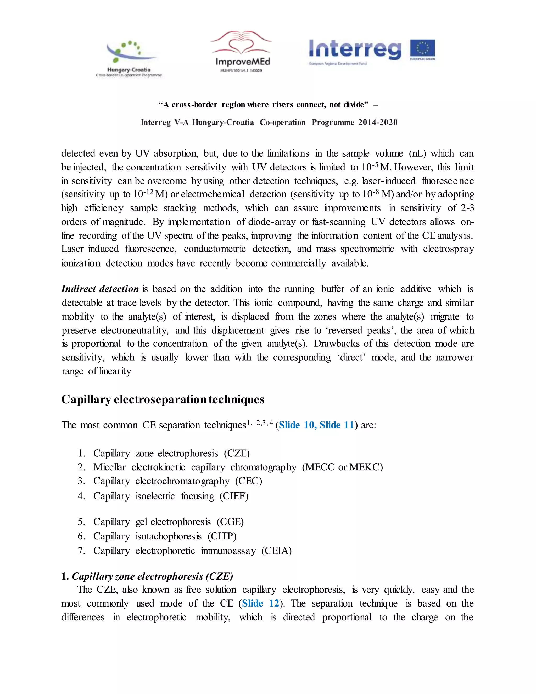 Notes for The principle and performance of capillary electrophoresis | DOCX
