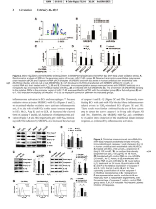 CIRCULATIONAHA2014013675 | PDF | Heart and Cardiovascular Diseases ...
