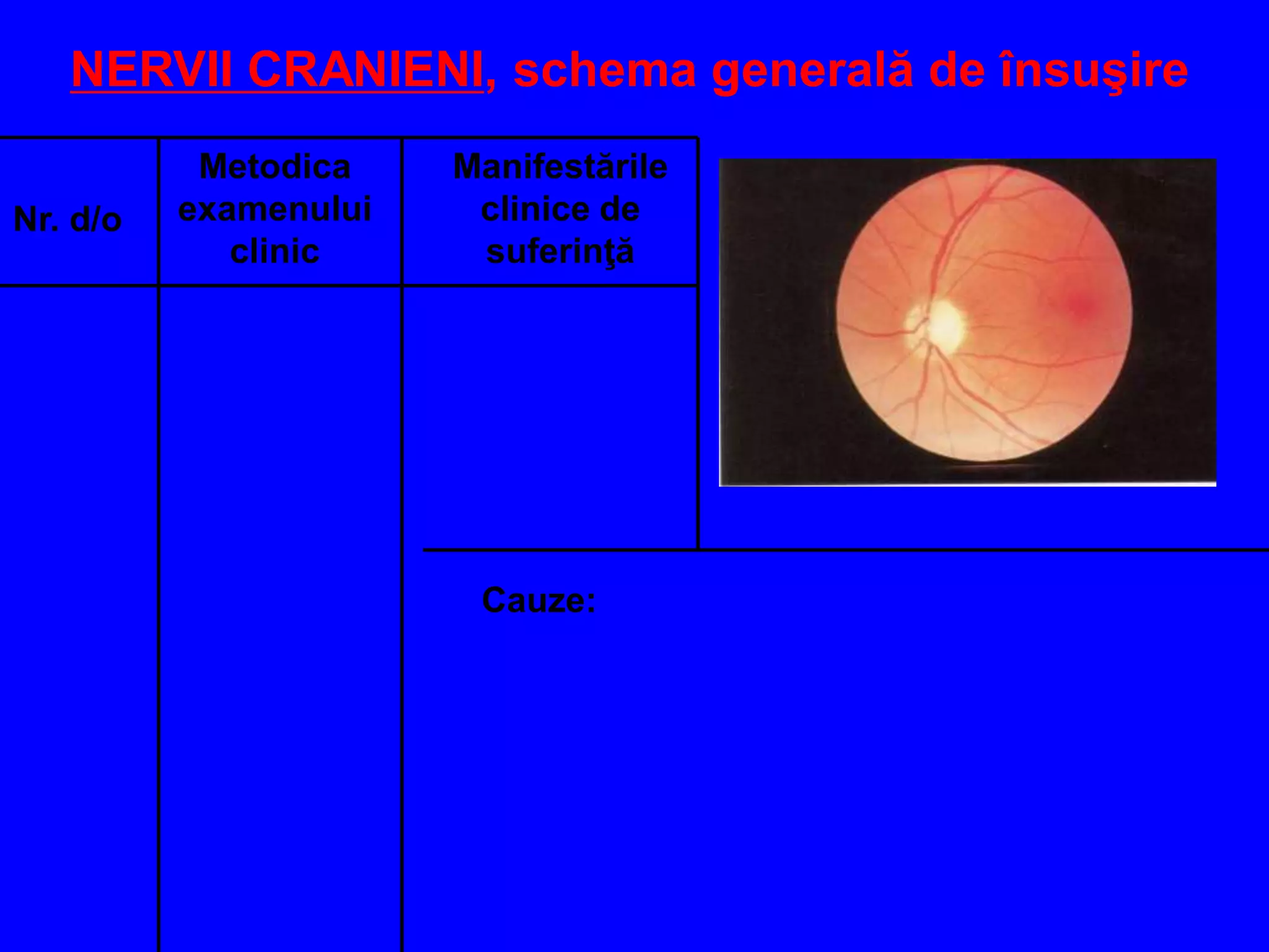 33 i nervul-cranie | PDF