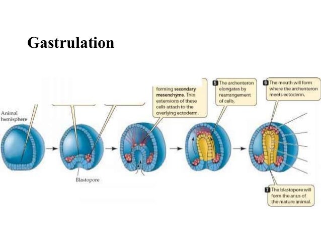 33 lecture presentation