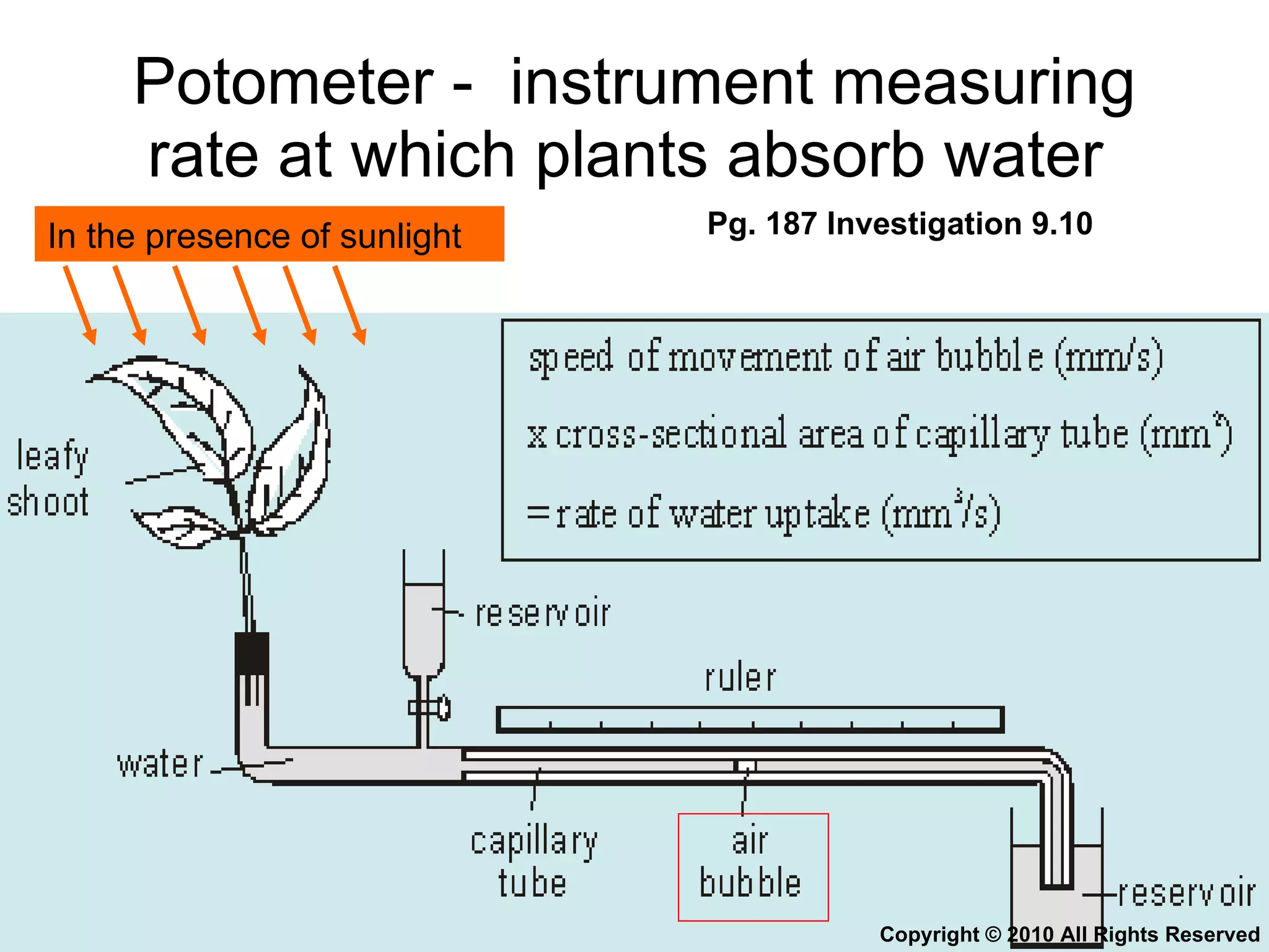 Chapter 9 Transport in Plants Lesson 3 - The 3 mechanisms in water ...