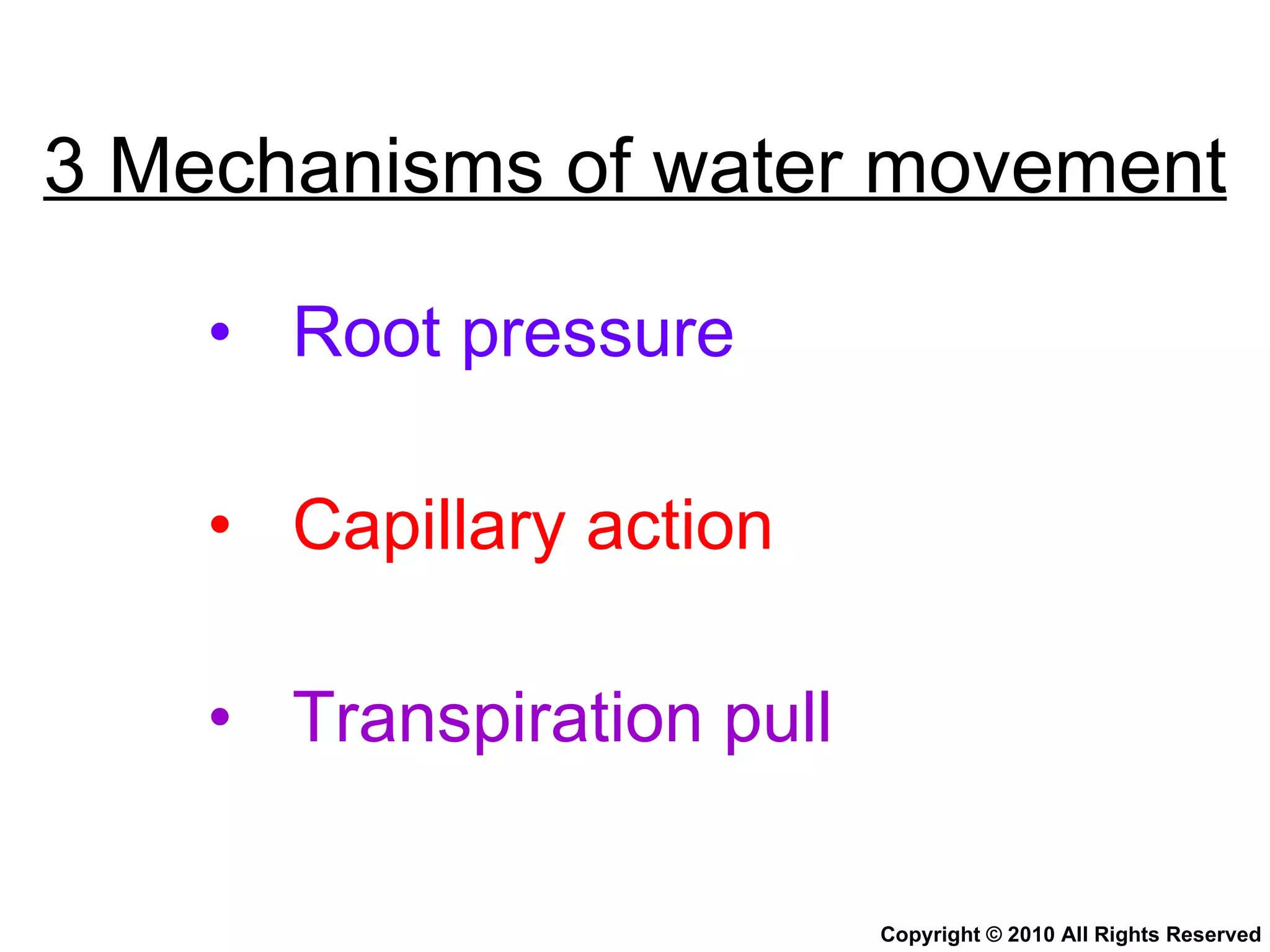 Chapter 9 Transport in Plants Lesson 3 - The 3 mechanisms in water ...