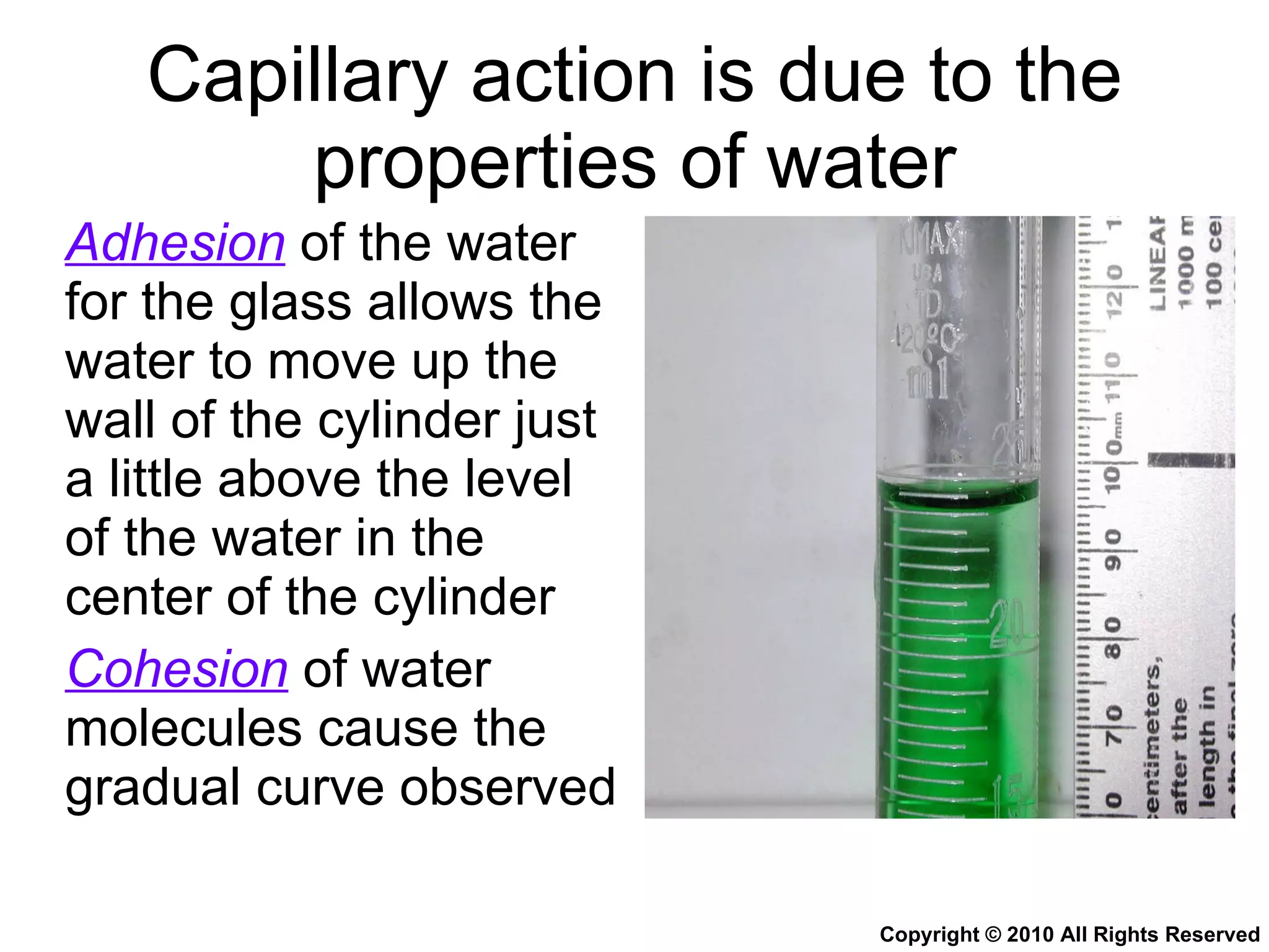 Chapter 9 Transport in Plants Lesson 3 - The 3 mechanisms in water ...