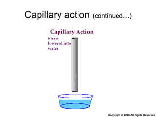 Chapter 9 Transport in Plants Lesson 3 - The 3 mechanisms in water ...