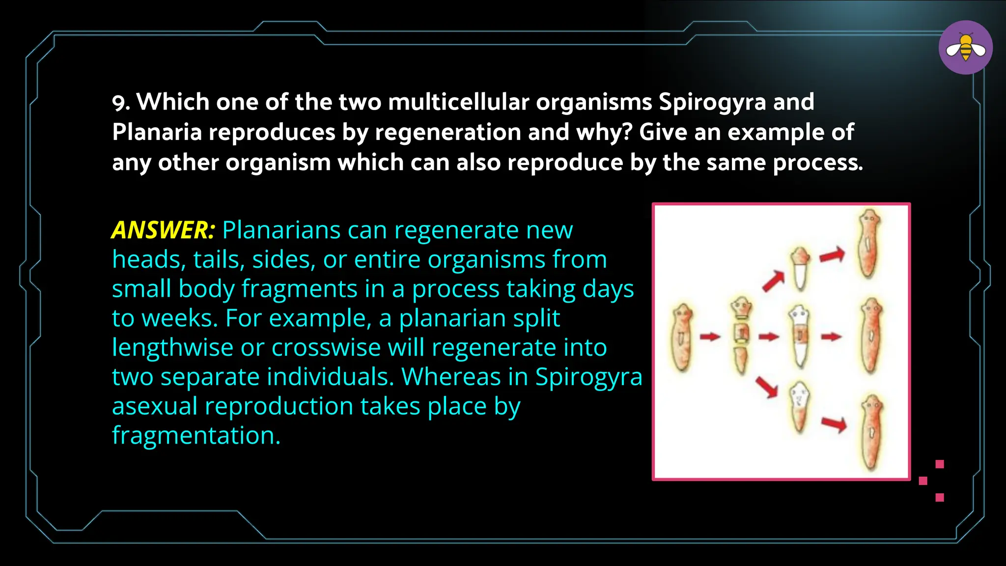33 most repeated PYQs (Prashant Kirad)).pdf
