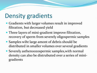 Copy_of_IUI_Sample_Prep.pptx | Infertility | Reproductive Health