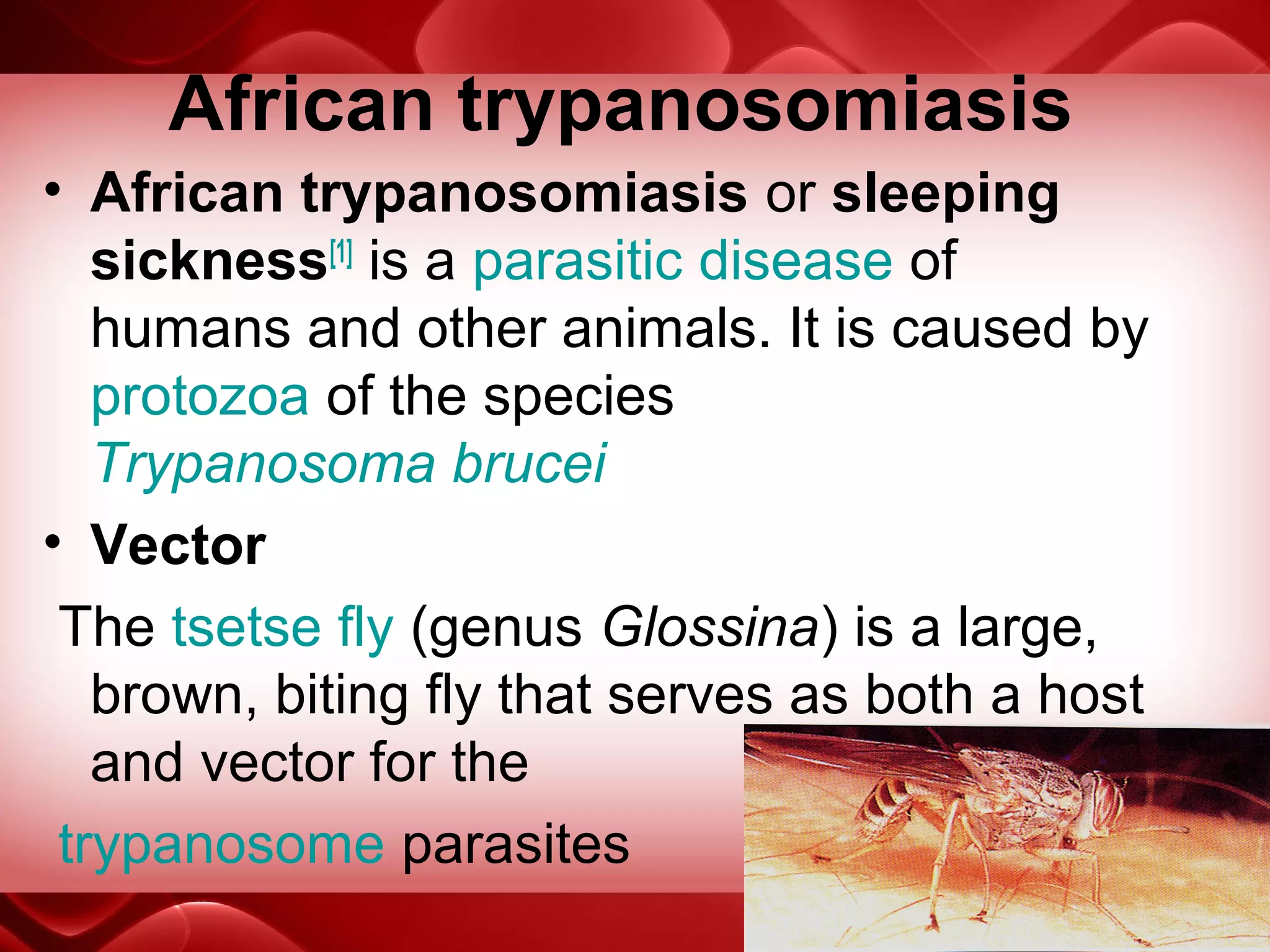 trypanosoma | PPT