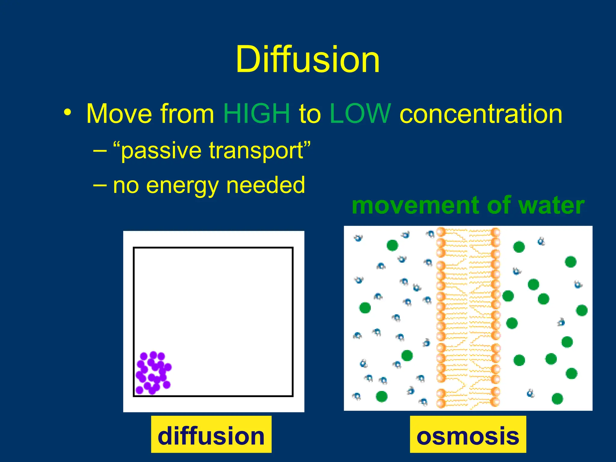 Transport across cell membrane- Passive transport.ppt