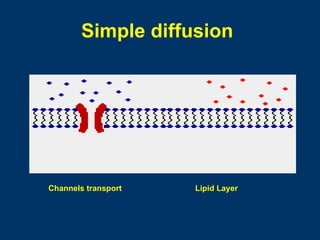 Transport across cell membrane- Passive transport.ppt