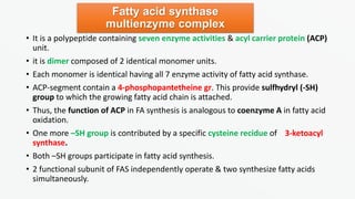 De novo synthesis of fatty acids (Biosynthesis of fatty acids) | PPSX