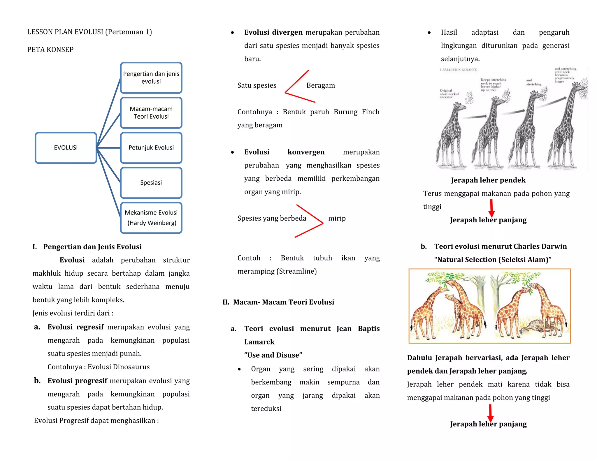 EVOLUSI (BIOLOGI SMA) | PDF