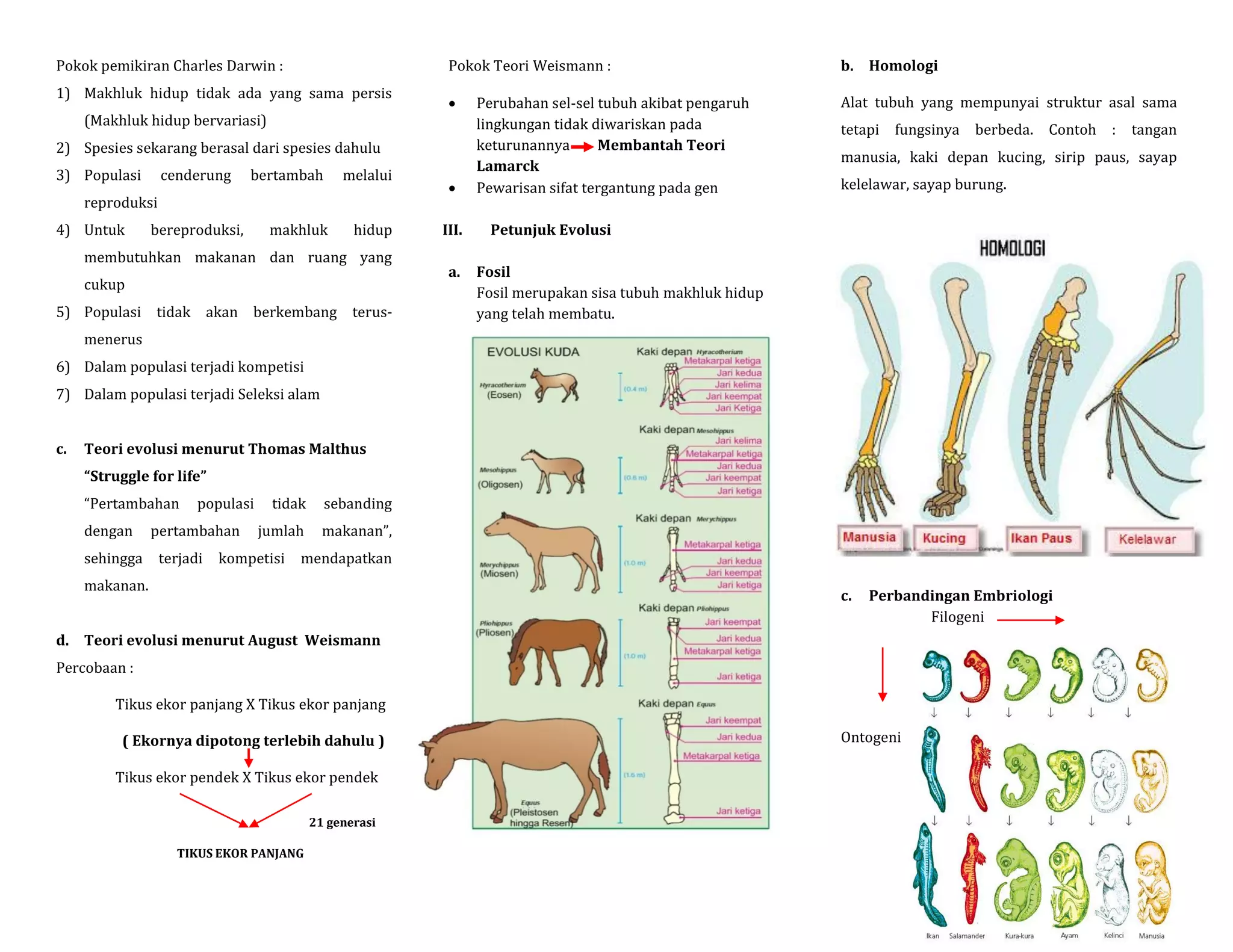 EVOLUSI (BIOLOGI SMA) | PDF