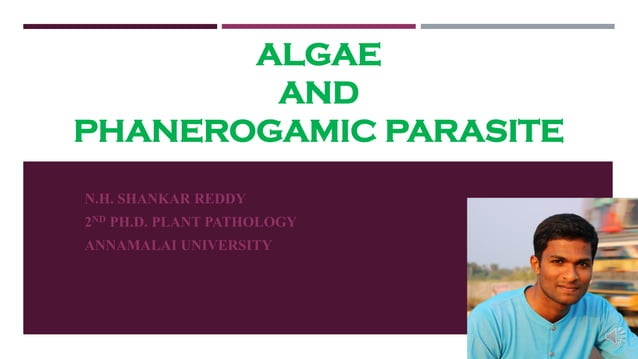 Algae and phanerogamic parasite | PDF | Gardening | Home & Garden