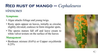 Algae and phanerogamic parasite | PDF