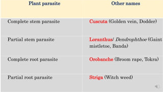 Algae and phanerogamic parasite | PDF