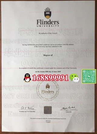 Flinders University degree offer diploma Transcript | PDF