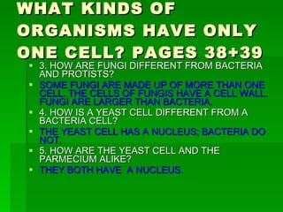 34 41 classifying living things | PPT