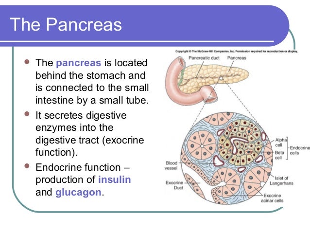 34. chemical coordination