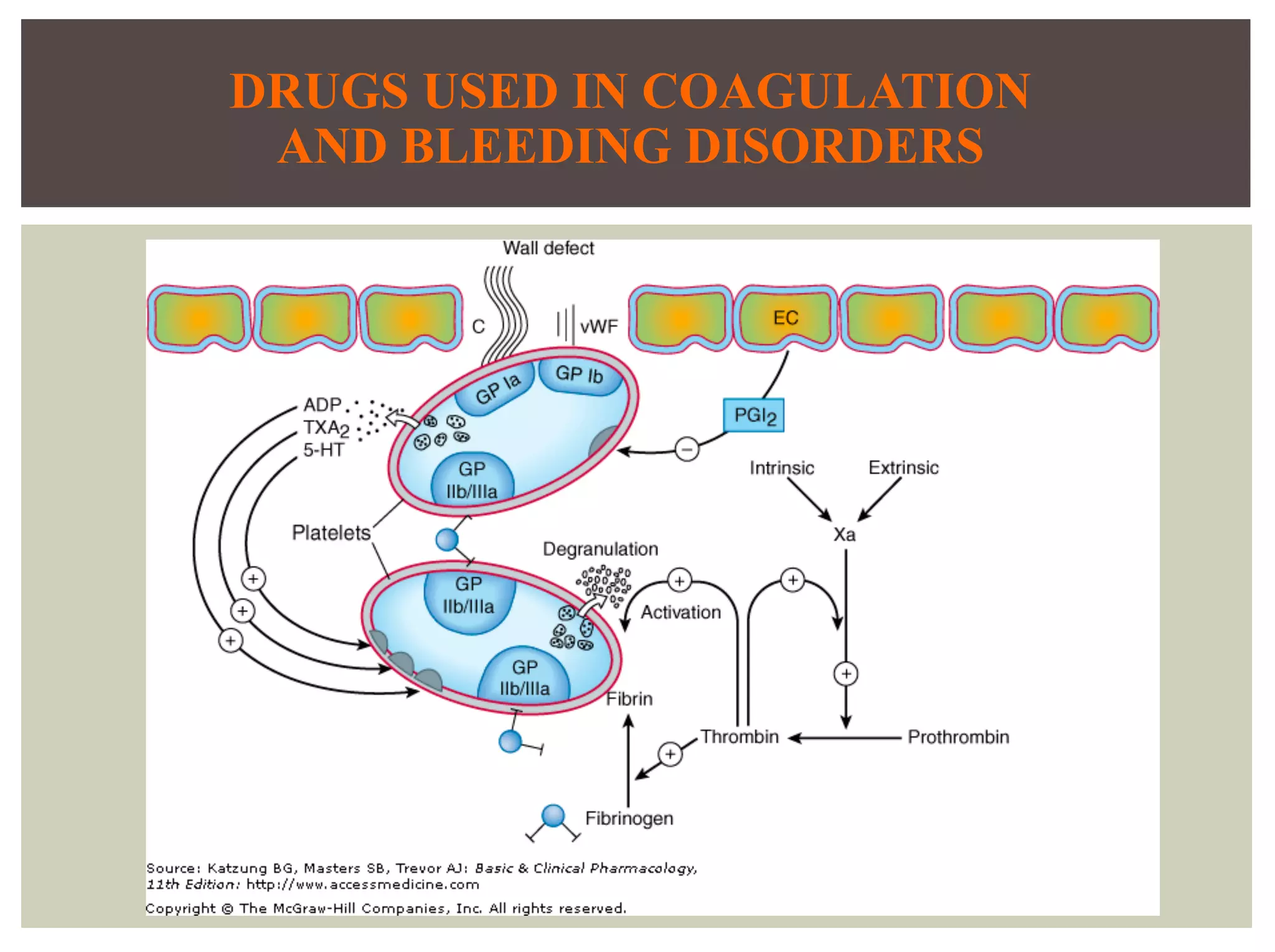 34 drugs-used-in-coagulation-and-bleeding-disorders | PDF