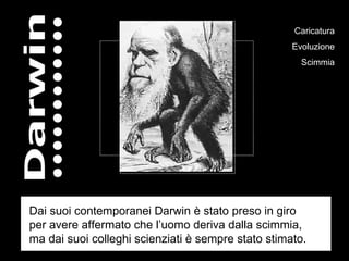 34.Vita Darwin | PPS