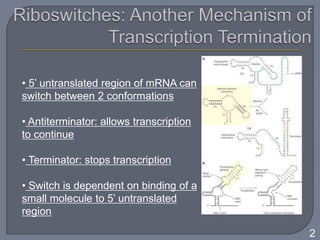 340 - 05 -- processing | PPT