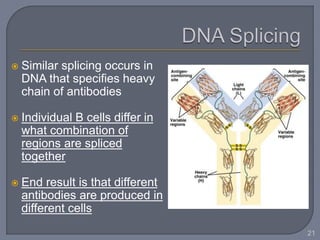 340 - 05 -- processing | PPT