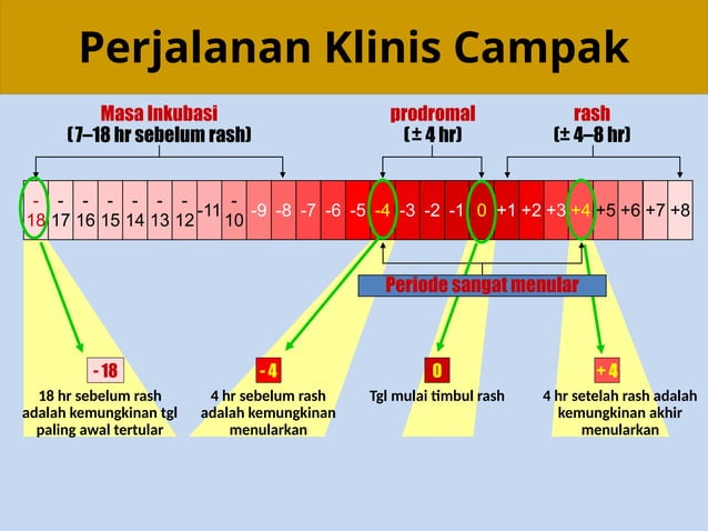 CAMPAk measles morbili patogenesis .pptx