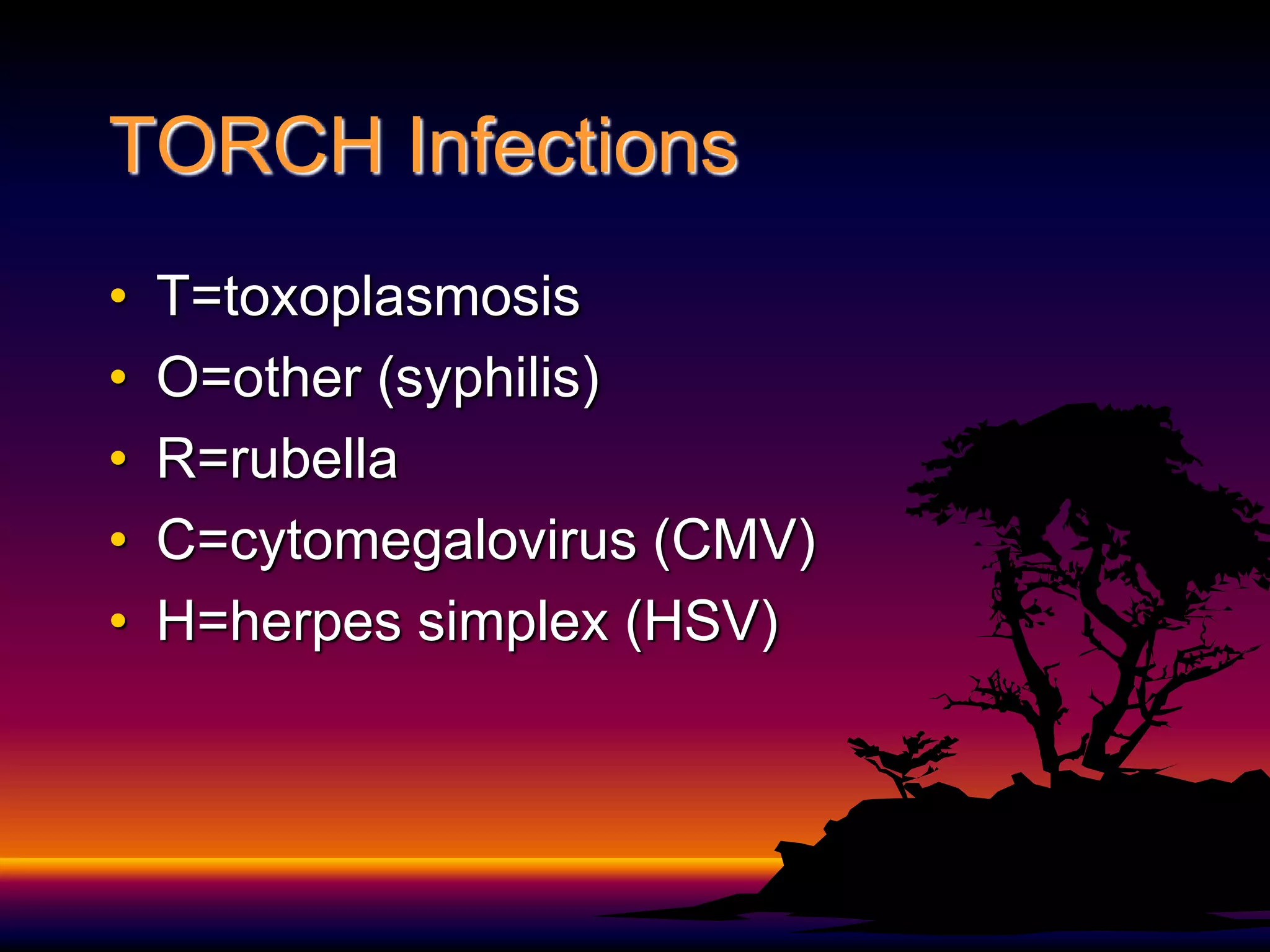 34061_TORCH_maranich.ppt