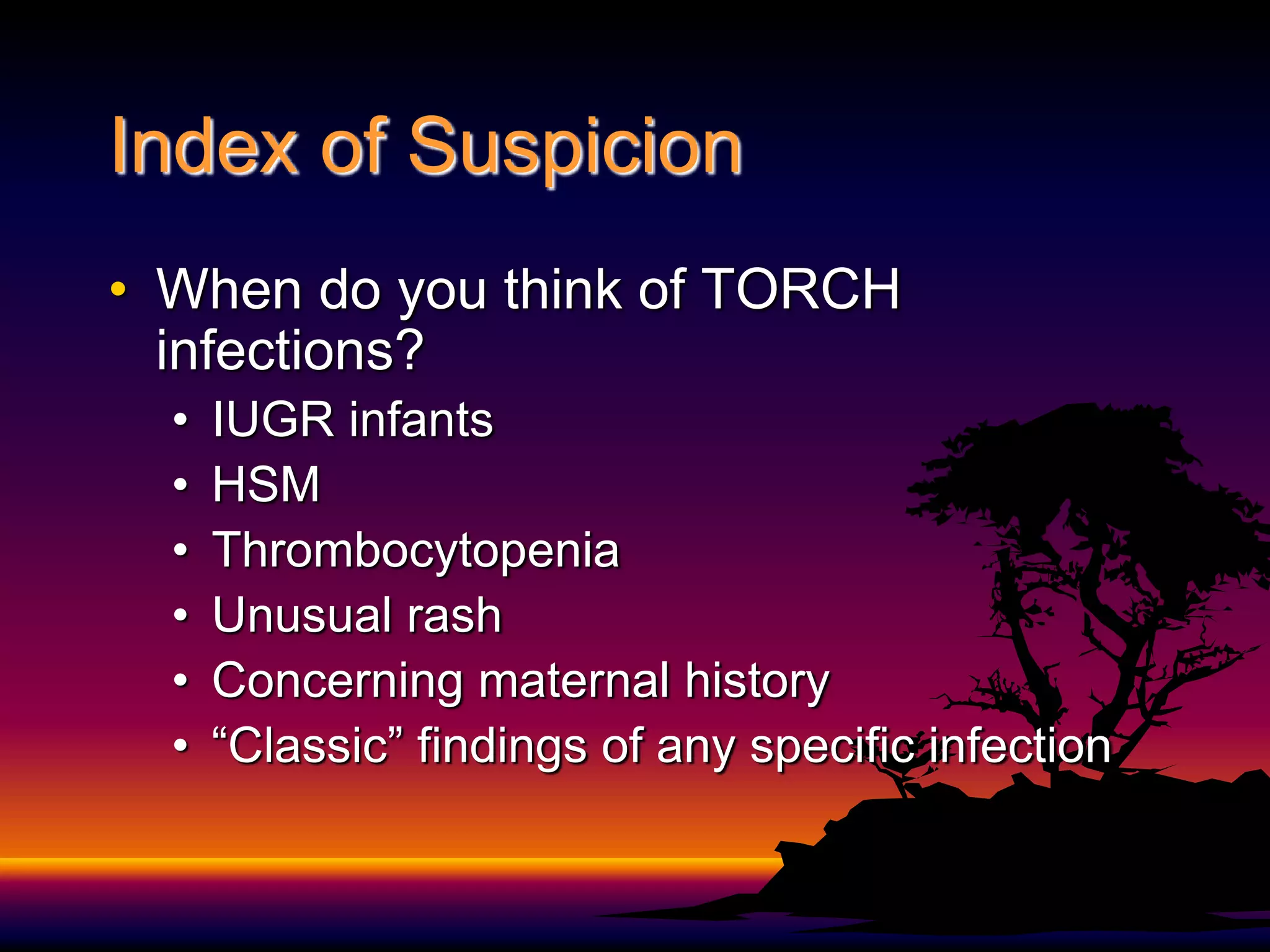 34061_TORCH_maranich.ppt