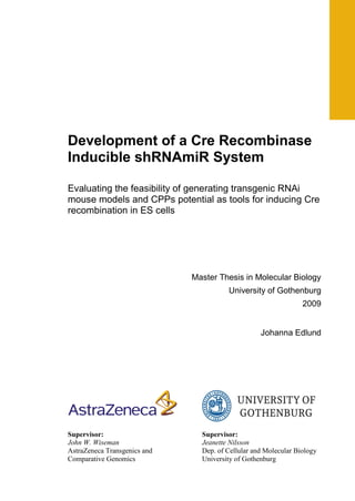 Johanna_Edlund-Thesis-final | PDF