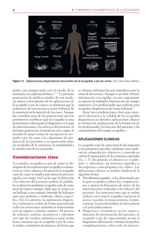 ECOGRAFÍA A PIE DE CAMA Nilam J Soni Md Ms | PDF