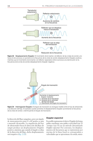 ECOGRAFÍA A PIE DE CAMA Nilam J Soni Md Ms | PDF