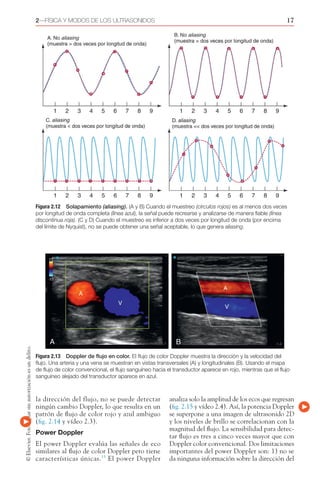 ECOGRAFÍA A PIE DE CAMA Nilam J Soni Md Ms | PDF
