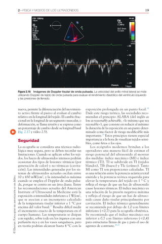 ECOGRAFÍA A PIE DE CAMA Nilam J Soni Md Ms | PDF