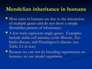 Mendelian Genetics Introduction Historical Developments | PPT