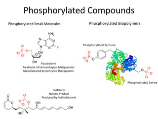 Synopsis of Research | PPTX