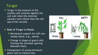Transport Mechanisms in Biology Querrer 4 | PPT
