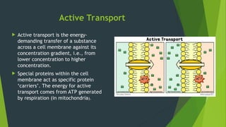 Transport Mechanisms in Biology Querrer 4 | PPT