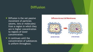Transport Mechanisms in Biology Querrer 4 | PPT